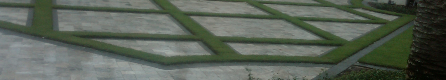 Gallery - Timo Brothers